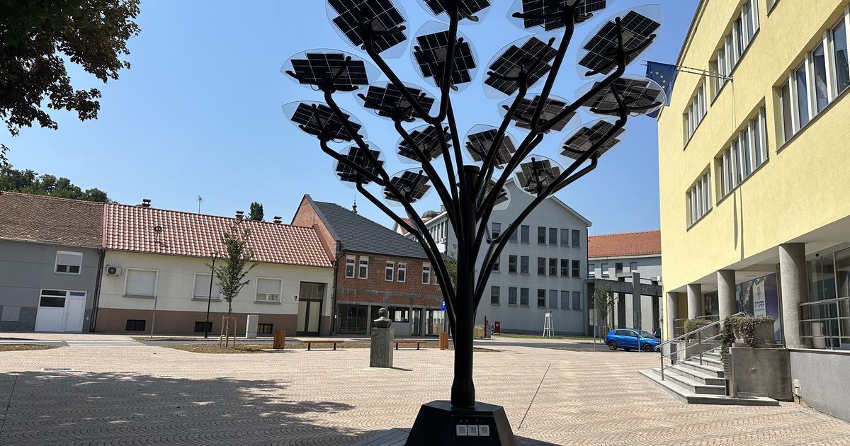 Stigla pametna stabla. Evo kako izgledaju. | Plusportal