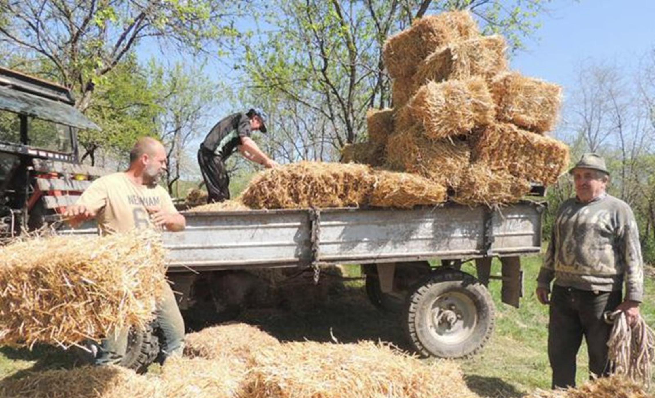 Ako želiš promjenu u životu, napravi svoj vrt | Plusportal