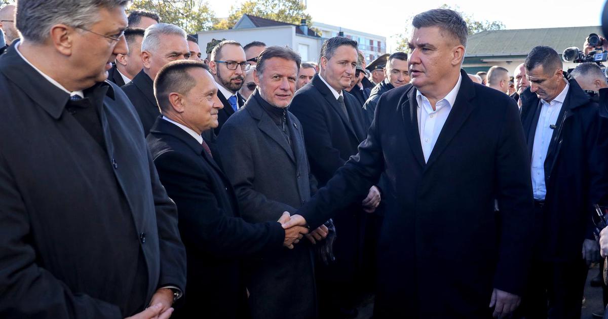 Smuđevi, somovi i sitne ribe, pljuckavice | Plusportal