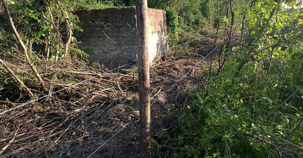 Zemlja prognanih Posavljaka ograđena žicom pod naponom | Plusportal