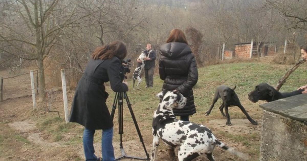 Brodska filmska produkcija | Plusportal