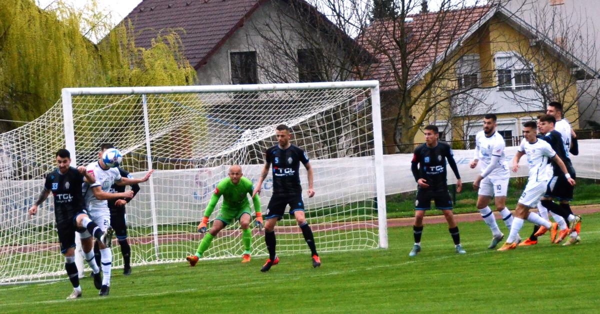 Marsonia kod Hrvatskog Dragovoljca | Plusportal